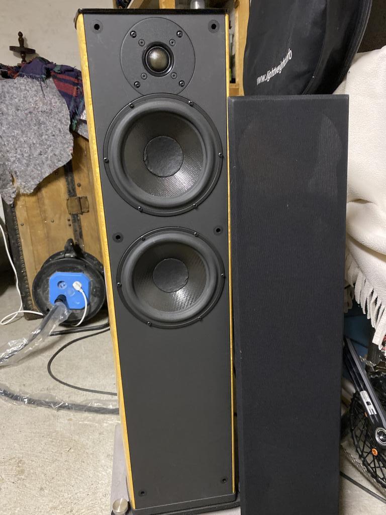 Wilson Benesch Wilson benesch Curve floorstanding speakers (1255542198 ...