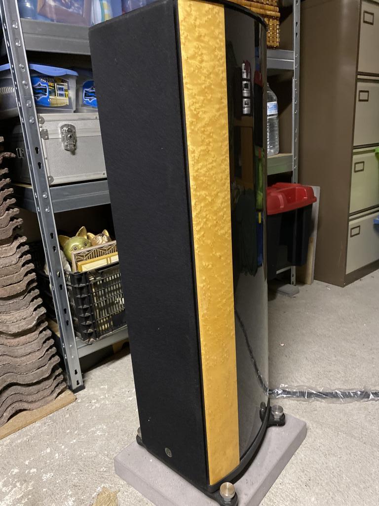 Wilson Benesch Wilson benesch Curve floorstanding speakers (1255542198 ...