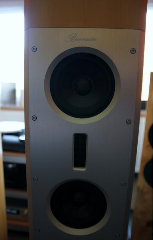 Burmester B 50 Elsbeere (168476659) | Gebrauchtgerät ...