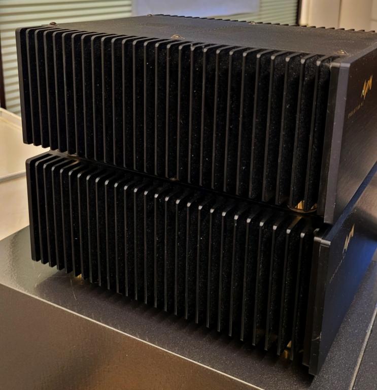 AVM AVM M2 Monos black (ein Paar) Top Zustand (2156032618 ...