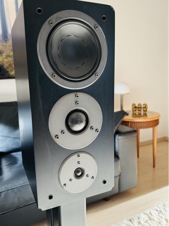 Dynaudio Dynaudio Compound 3 (2247586353) | Gebrauchtgerät ...