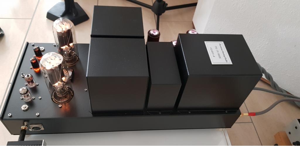 Austrian Analog Audio Pse 211 Triode Mono Endstufen 3138429407