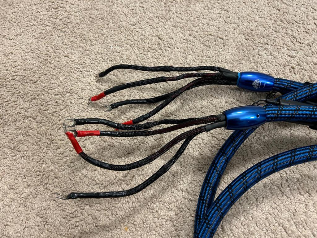 AudioQuest Everest (3568486688) | Gebrauchtgerät | Lautsprecherkabel ...