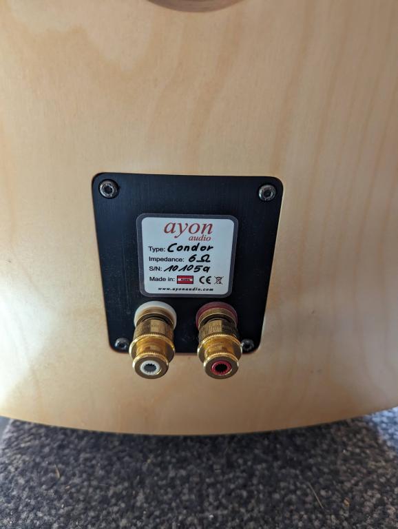 Ayon Audio Ayon Condor Paarpreis Secondhand ahorn (4073867640 ...