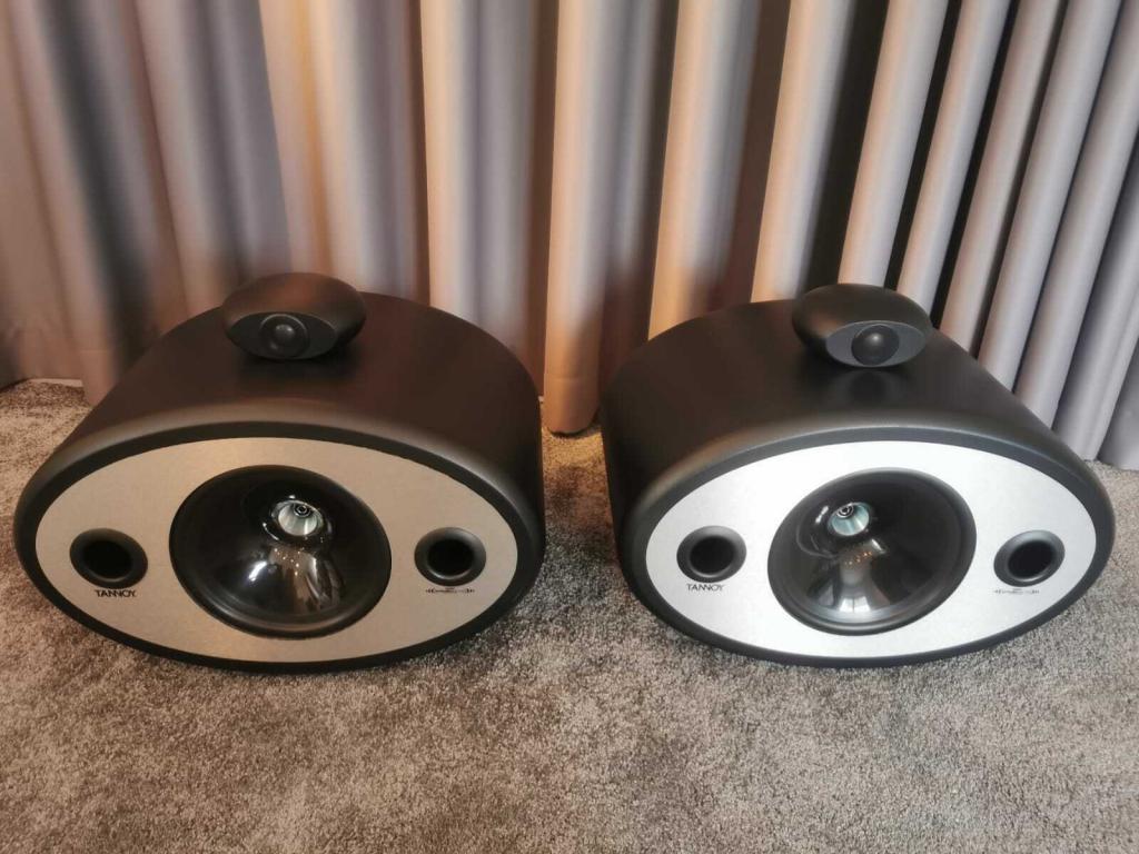 Tannoy Tannoy Ellipse 10 High End Studiomonitor passiv (4104991879 ...