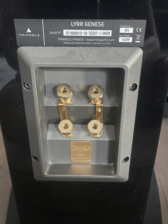 Triangle Genese Lyrr (4189413082) | Second-hand device | Standing ...