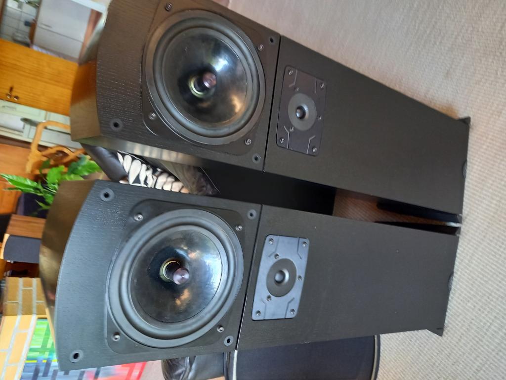 Naim Audio Allae (4467134885) | Gebrauchtgerät | Standlautsprecher ...