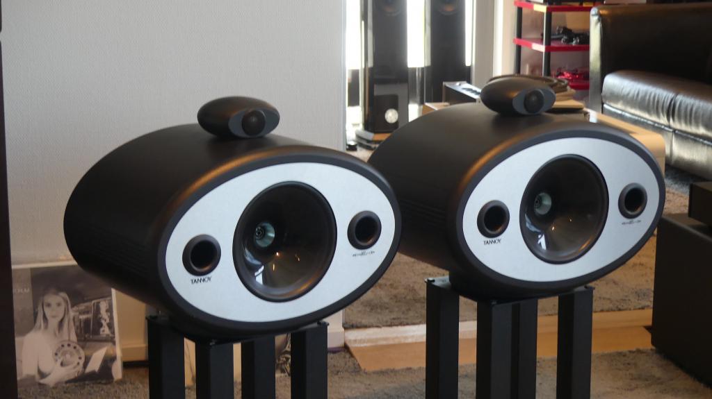 Tannoy Ellipse 10 Studiomonitor (4889538276) | Gebrauchtgerät ...