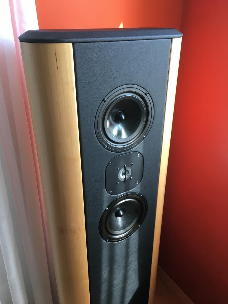 Acoustic Components Incus ! Absolute Rarität (4945762895 ...