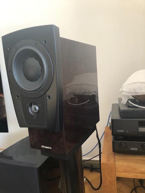 Dynaudio Dynaudio C 1 platinum (5142444792) | Gebrauchtgerät ...
