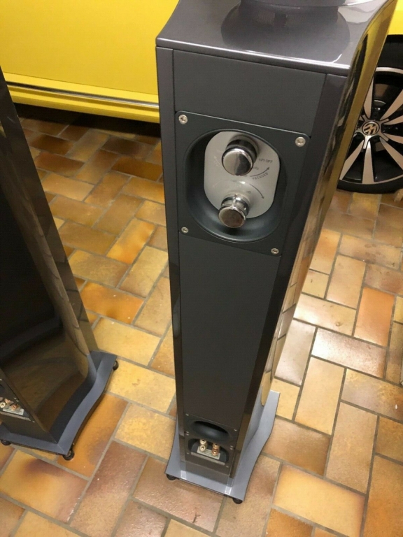 Elac Elac FS 609 X-PI High End Standlautsprecher in titan mit Soundcare ...