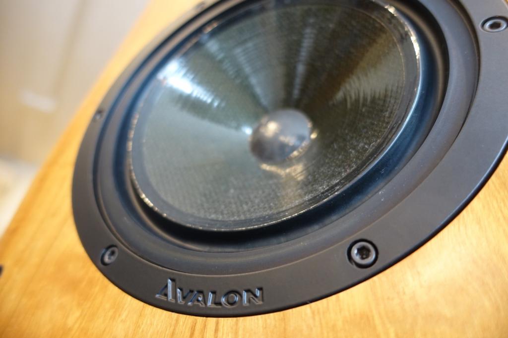 Avalon Acoustics Avalon Eclipse speakers (5287798471) | Standing Speaker | Offer on audio-markt.de