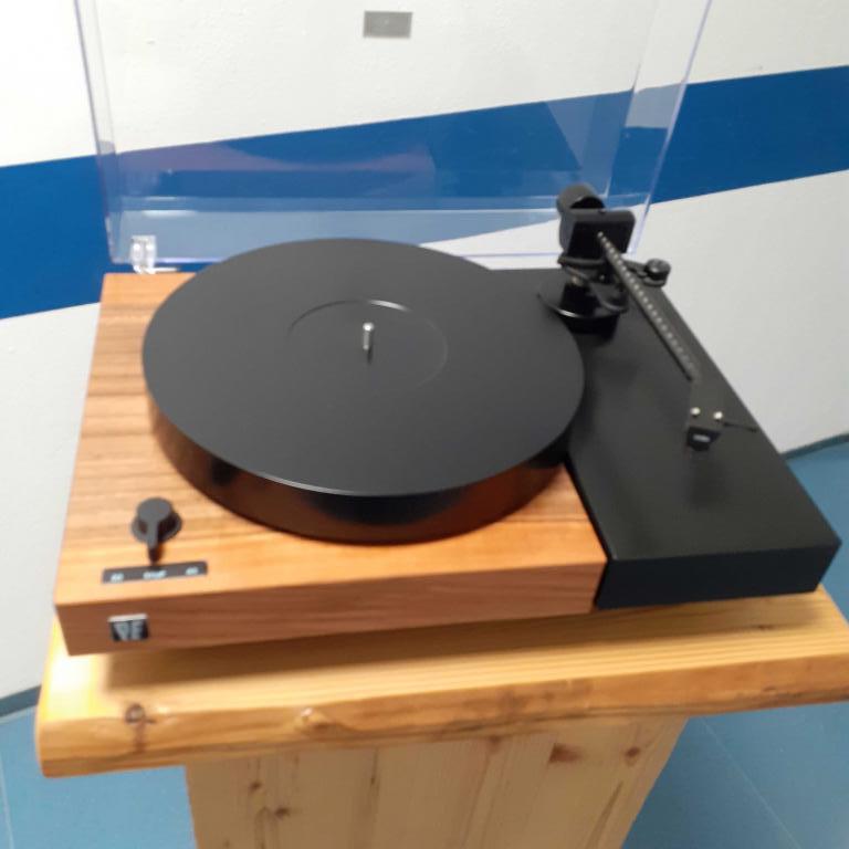 PERPETUUM EBNER ( PE) NEUHEIT 2023: PE 6060, Sonderfurnier Walnuß ...