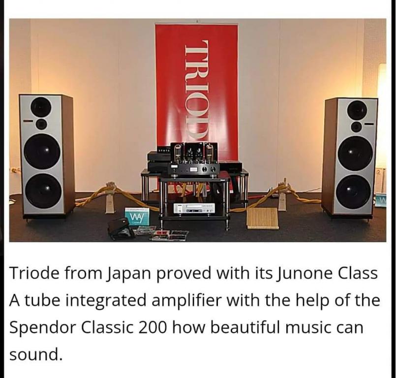 Spendor CLASSIC 200 Ti DEMO (5329369419) | Ausstellungsstück ...