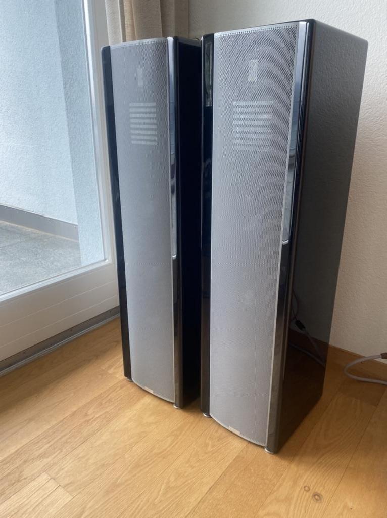 Piega Piega P10 (544222464) | Gebrauchtgerät | Standlautsprecher ...