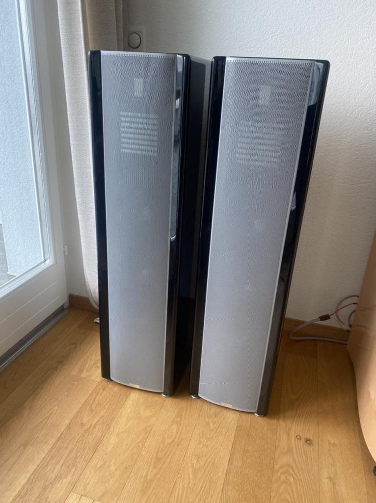 Piega Piega P10 (544222464) | Gebrauchtgerät | Standlautsprecher ...