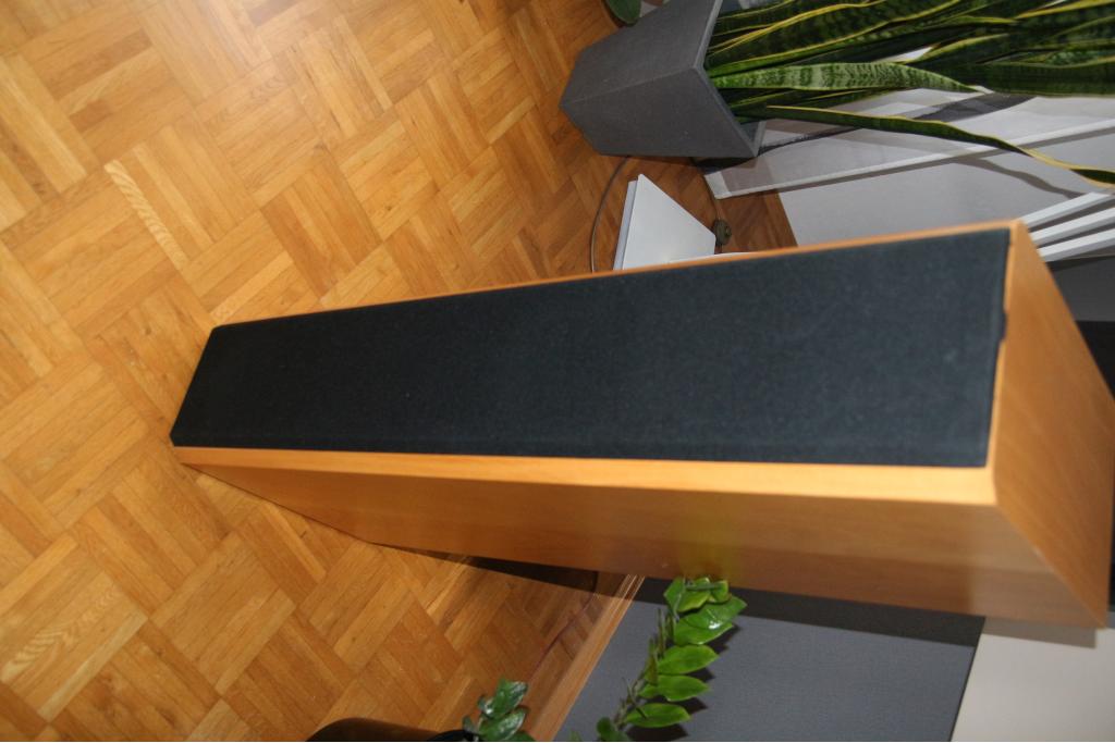 Isophon ( Gauder Akustik ) Enigma Masterpiece (554990320 ...