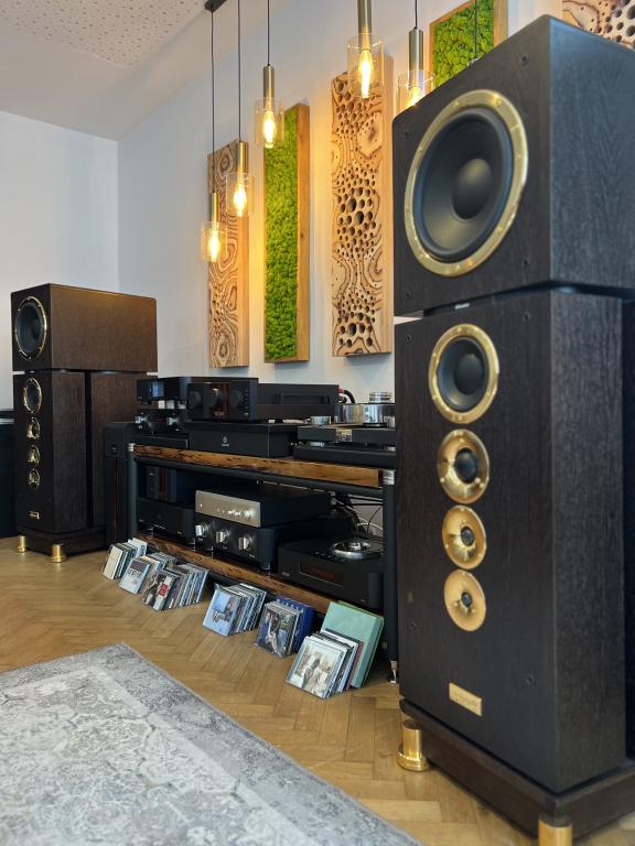 Dynaudio Consequence UE Special Wenge/Gold (5754945836) | Ausstellungsstück | Standlautsprecher ...