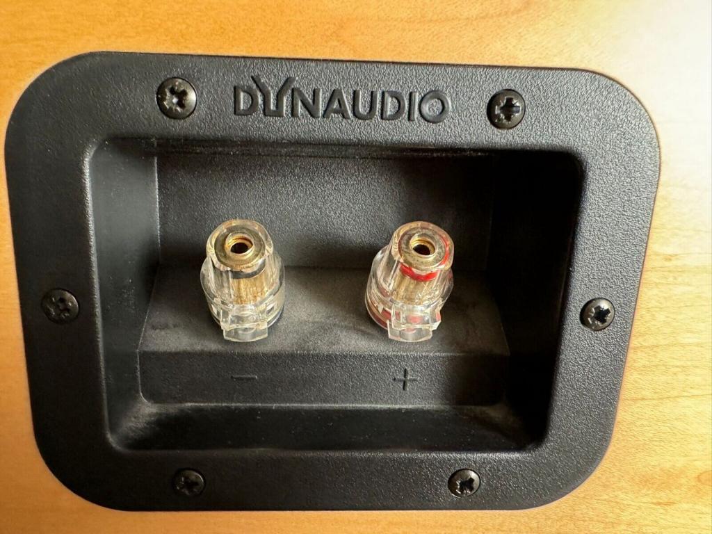 Dynaudio Dynaudio Focus 200 C Centerlautsprecher in Ahorn (6180311912 ...