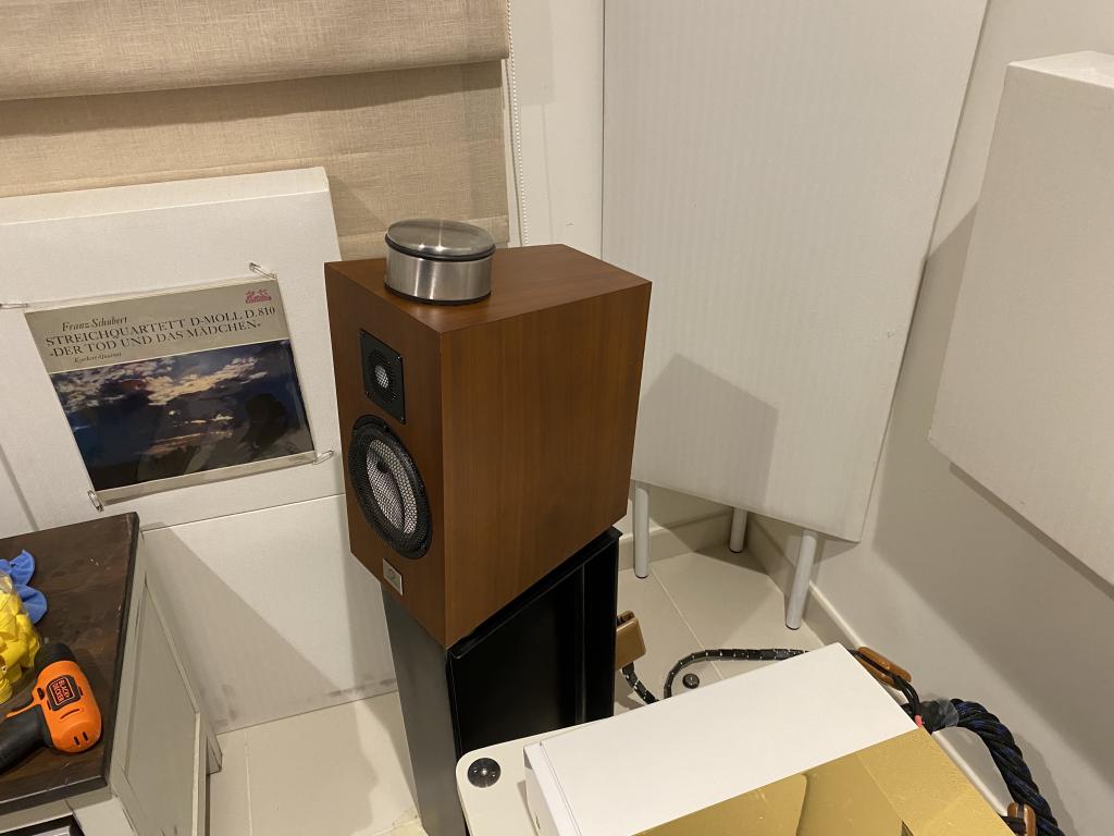 Marten Design marten dukes 2 (6184975190) | Gebrauchtgerät ...