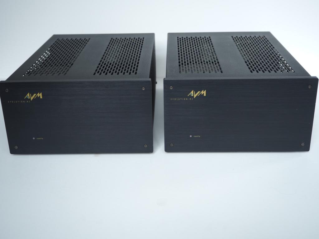 AVM Monoblock Evolution M2 (6989310907) | Gebrauchtgerät | Transistor ...
