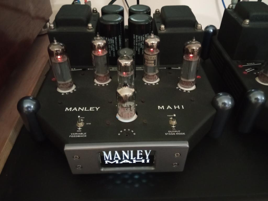 Manley Labs Manley Mahi Monoblock Tube Amps (7058061970 ...