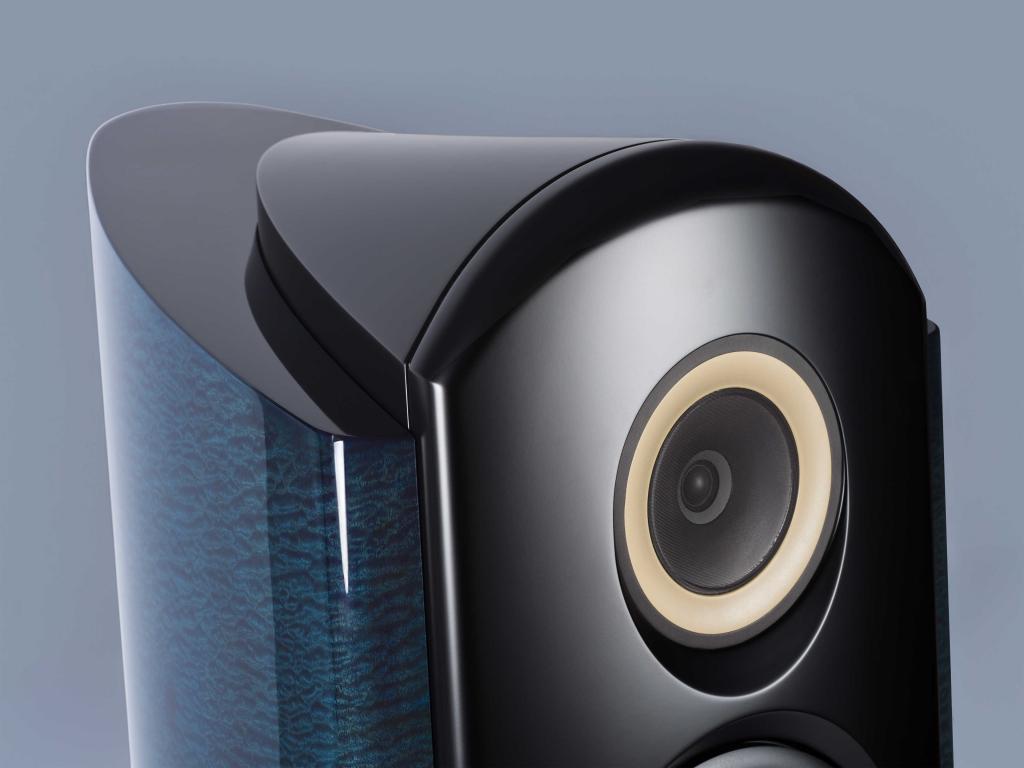 TAD Technical Audio Devices Laboratories R1TXLTD (Reference One TX ...