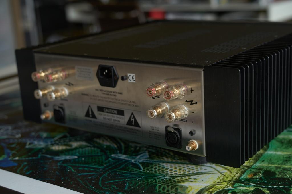 Gamut Gamut D200 Endstufe / Amp / high End (7261899117 ...