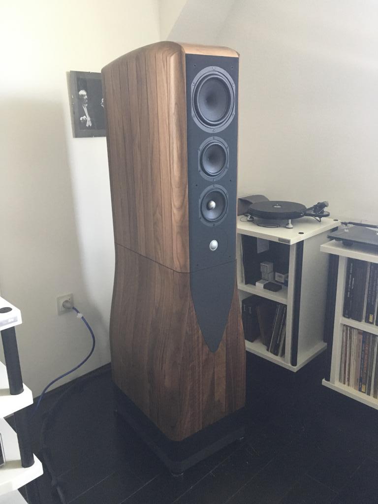 Chario Serendipity (7928928817) | Neugerät | Standlautsprecher ...