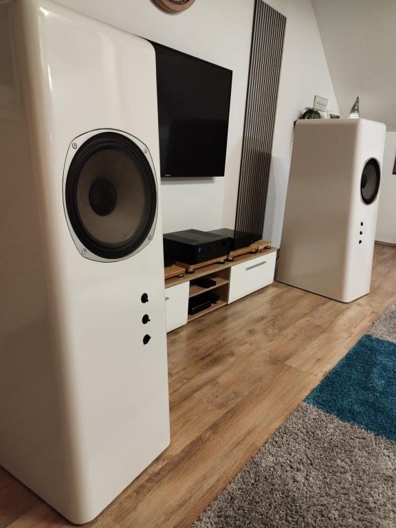 Tannoy Tannoy 3809 Chassis Lautsprecher weiß (8572797593 ...