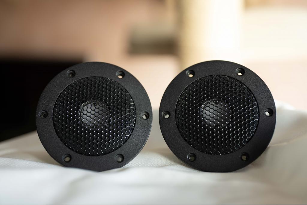 Accuton Darc Tweeter (Keramikhochtöner) Hand Selection (8743925732 ...