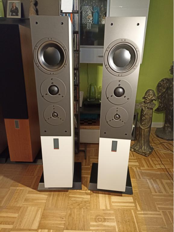 Dynaudio Dynaudio Confidence c 5 im white Edition!! (924807358 ...