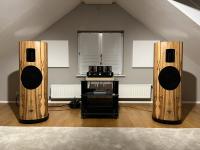 Ayon Audio Ayon Dragon mit AER MD3B Breitbandlautsprecher (9565490223 ...