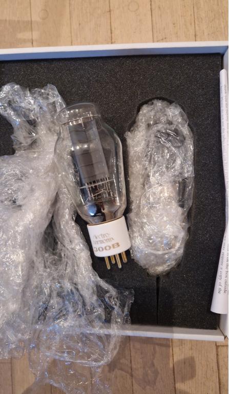 Acustica Applicata Alieno Preamplifier and 250 LTD mk2 Amplifier ...