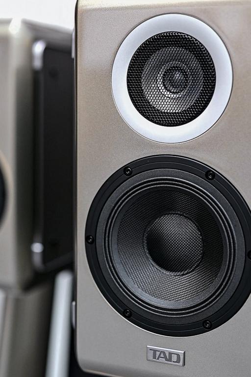 TAD Technical Audio Devices Laboratories TAD ME-1 MICRO EVOLUTION ONE (9932655336 ...